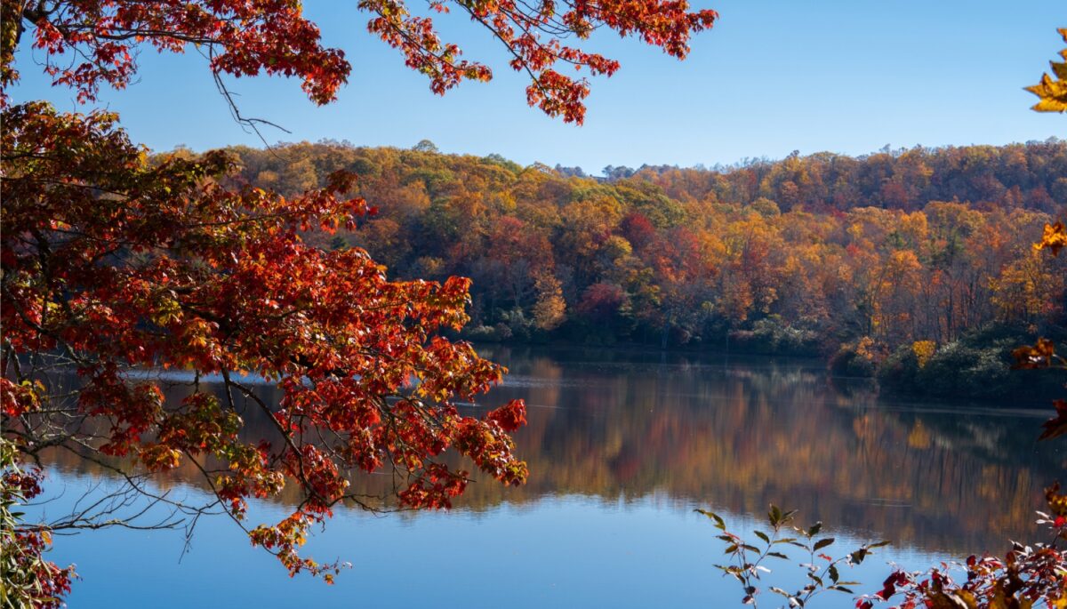 Charlotte Comfort Systems | Early Fall HVAC Tune-Up Importance